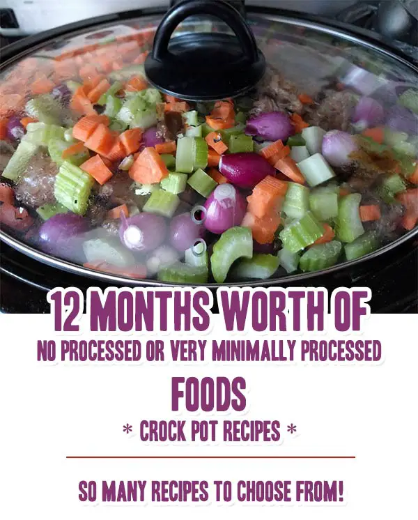 12 Months Of No Processed Foods - Crock Pot Recipes - Mental Scoop