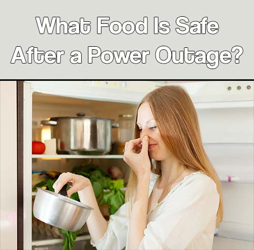 What-Food-Is-Safe-After-a-Power-Outage - Mental Scoop