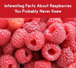 Interesting Facts About Raspberries - Mental Scoop