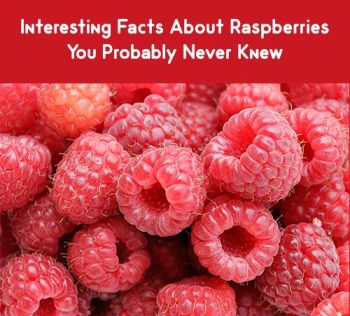 Interesting Facts About Raspberries - Mental Scoop