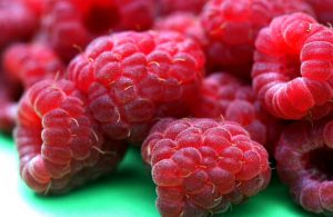 Interesting Facts About Raspberries - Mental Scoop