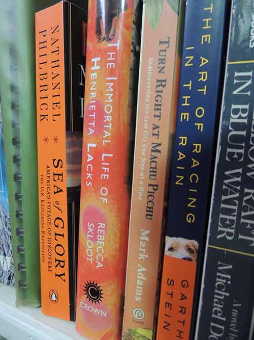 Books Mental Scoop