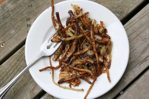 10 Yummy Dandelion Recipes - Mental Scoop