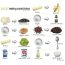 A Complete Cooking Ingredient Substitution List - Mental Scoop