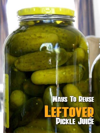 Ways To Reuse Leftover Pickle Juice - Mental Scoop