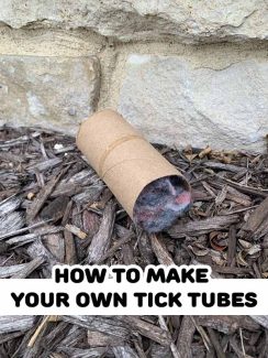 How To Make Your Own Tick Tubes - Mental Scoop