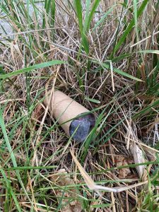 How To Make Your Own Tick Tubes - Mental Scoop