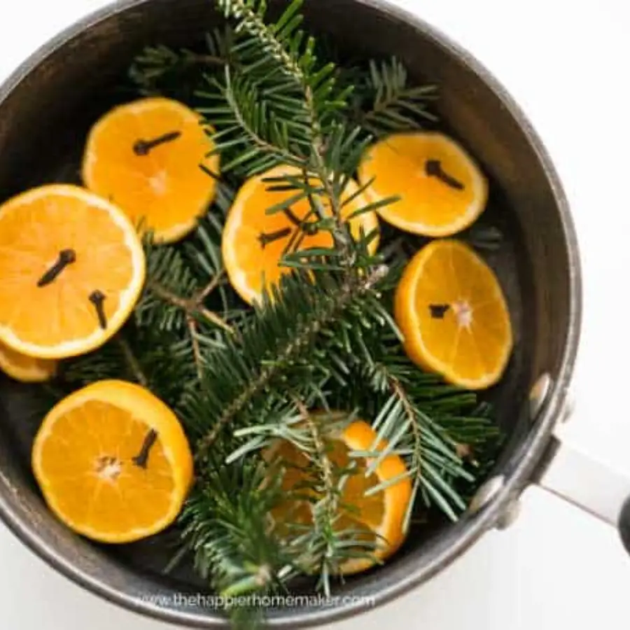 Simmering Potpourri Recipes - Mental Scoop