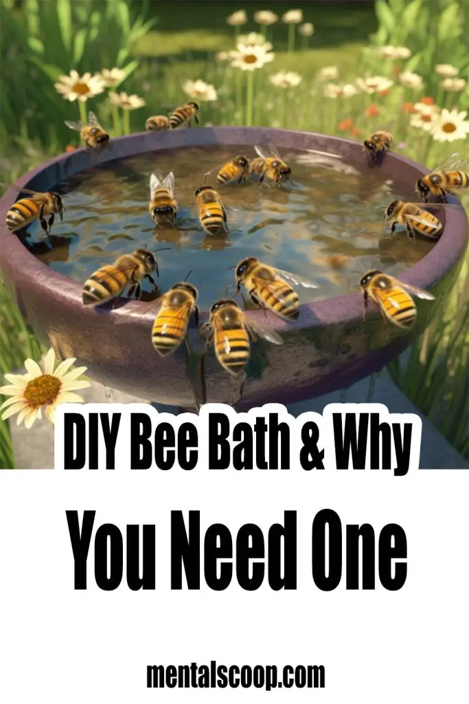 DIY Bee Bath & Why You Need One! - Mental Scoop
