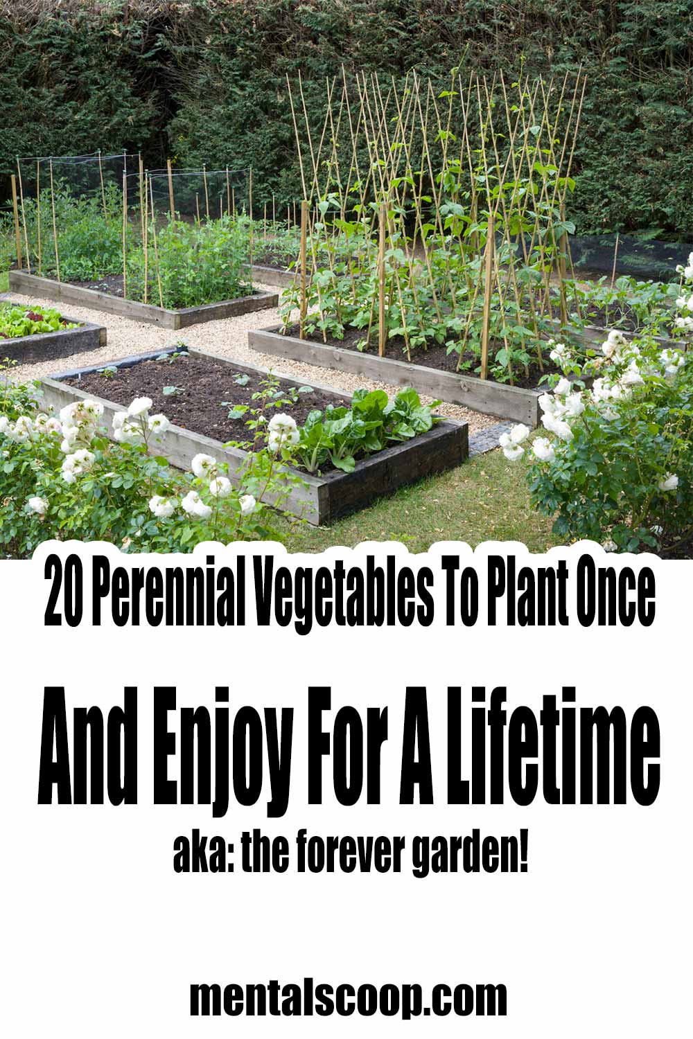 20 Perennial Crops You Can Plant Once and Enjoy Forever - Mental Scoop