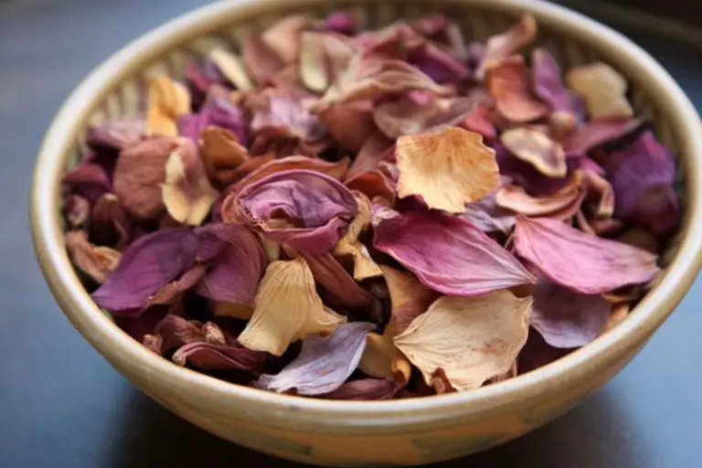 3 Springtime Potpourri Recipes - Mental Scoop
