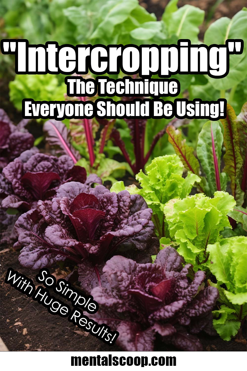 "Intercropping" The Technique Everyone Should Be Using! - Mental Scoop