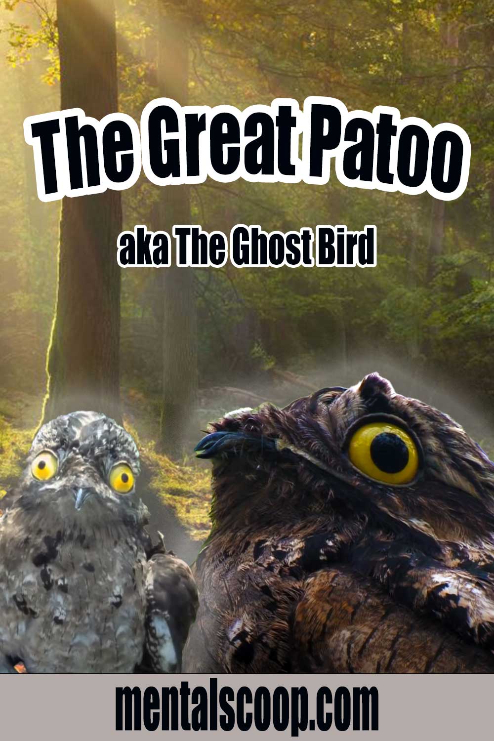 The-great-Patoo - Mental Scoop