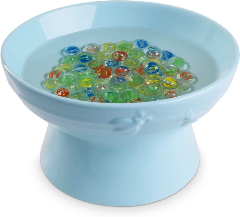 DIY Bee Bath & Why You Need One! - Mental Scoop