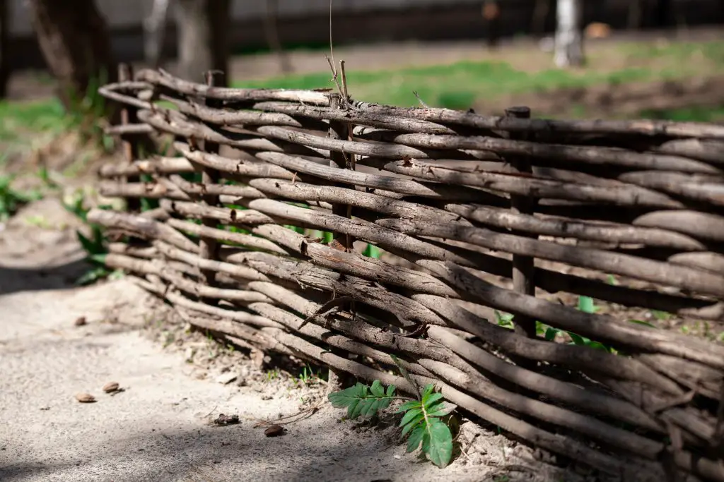 How To Make Your Own Wattle Fence & Why You Should Make One Today ...