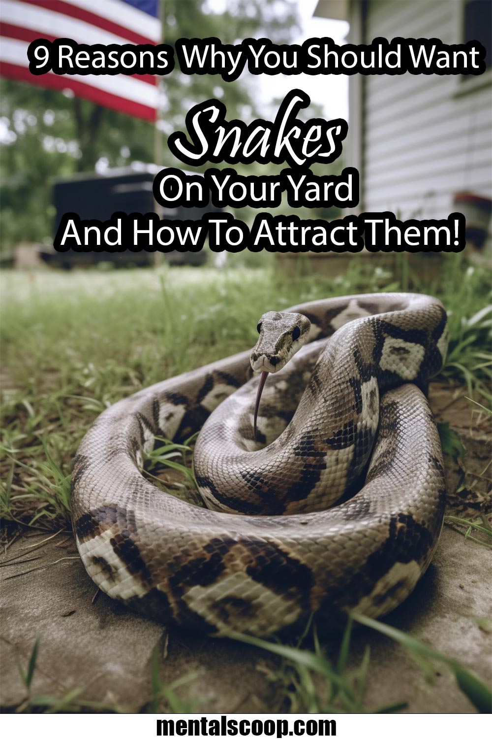 9 Reasons Why You Should Want Snakes On Your Yard And How To Attract ...