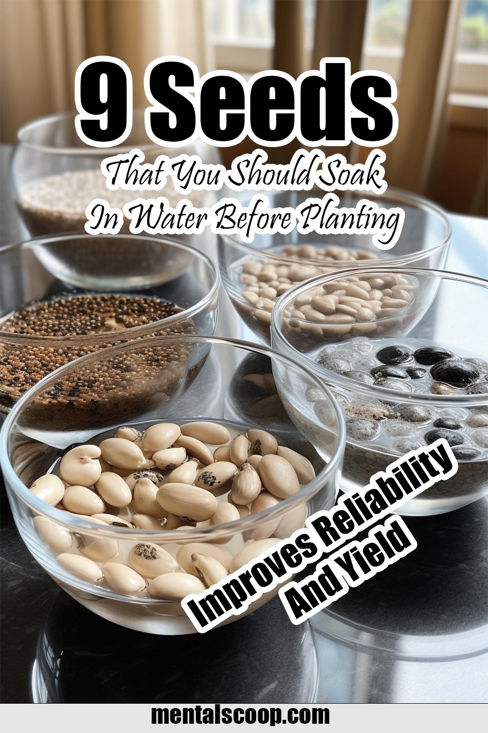 9 Seeds That You Should Soak In Water Before Planting - Mental Scoop