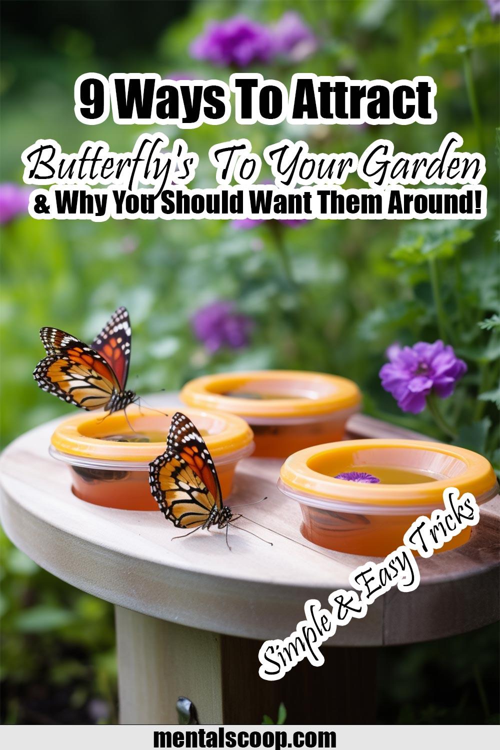 9 Ways To Attract Butterfly's To Your Garden & Why You Should Want Them ...