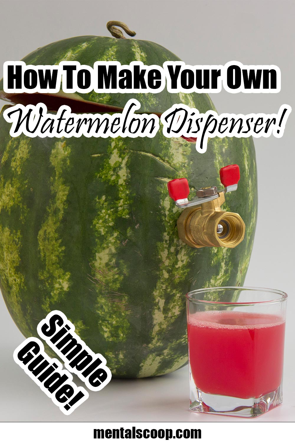 How To Make Your Own Watermelon Dispenser! - Mental Scoop