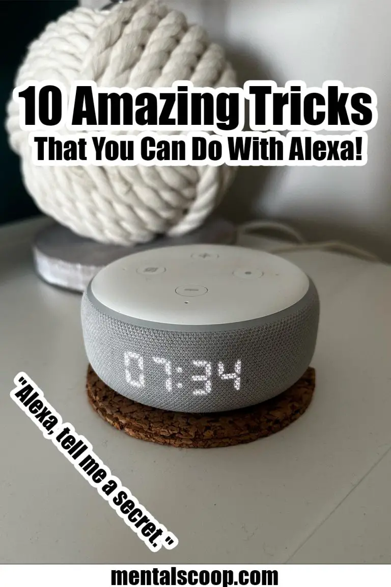 10 Amazing Tricks That You Can Do With Alexa! - Mental Scoop
