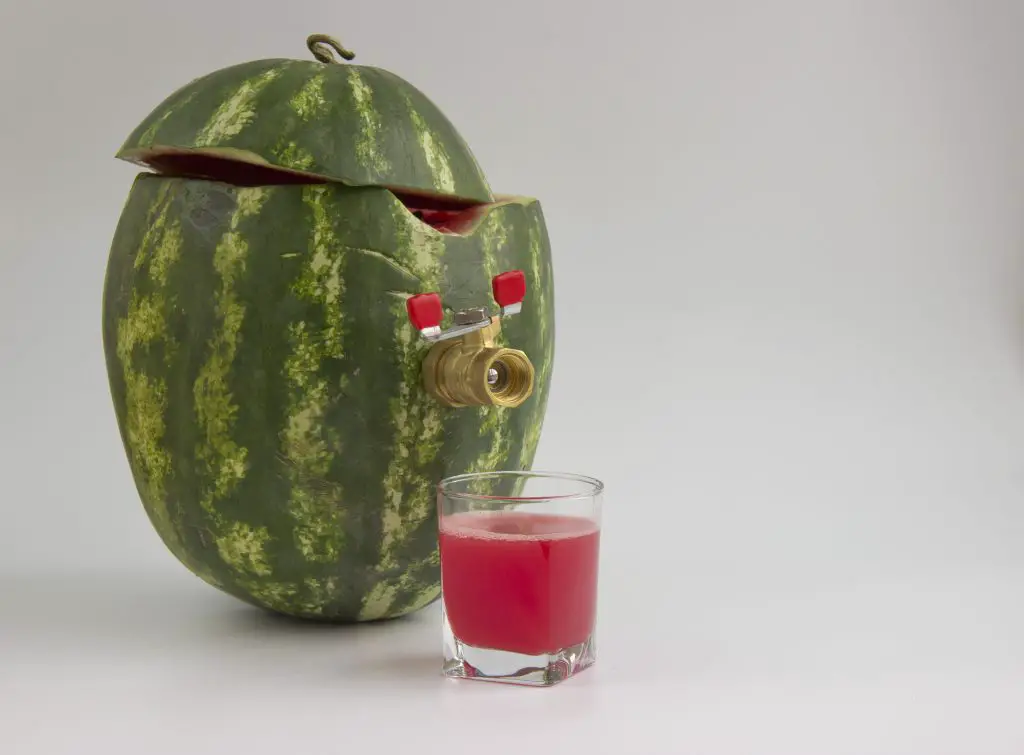 How To Make Your Own Watermelon Dispenser! - Mental Scoop