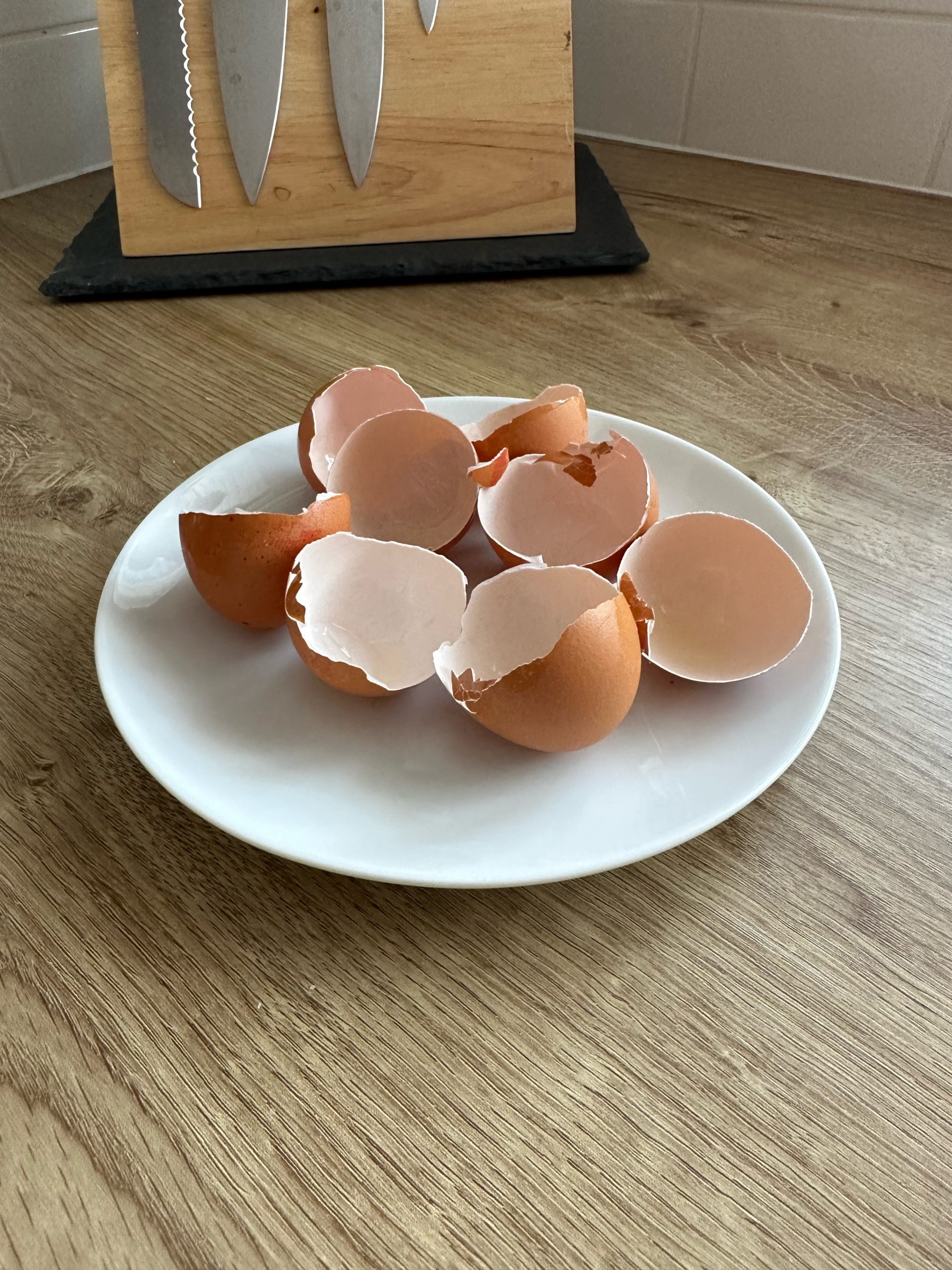 9 Reasons Why You Should Save Your Egg Shells For The Garden! - Mental ...