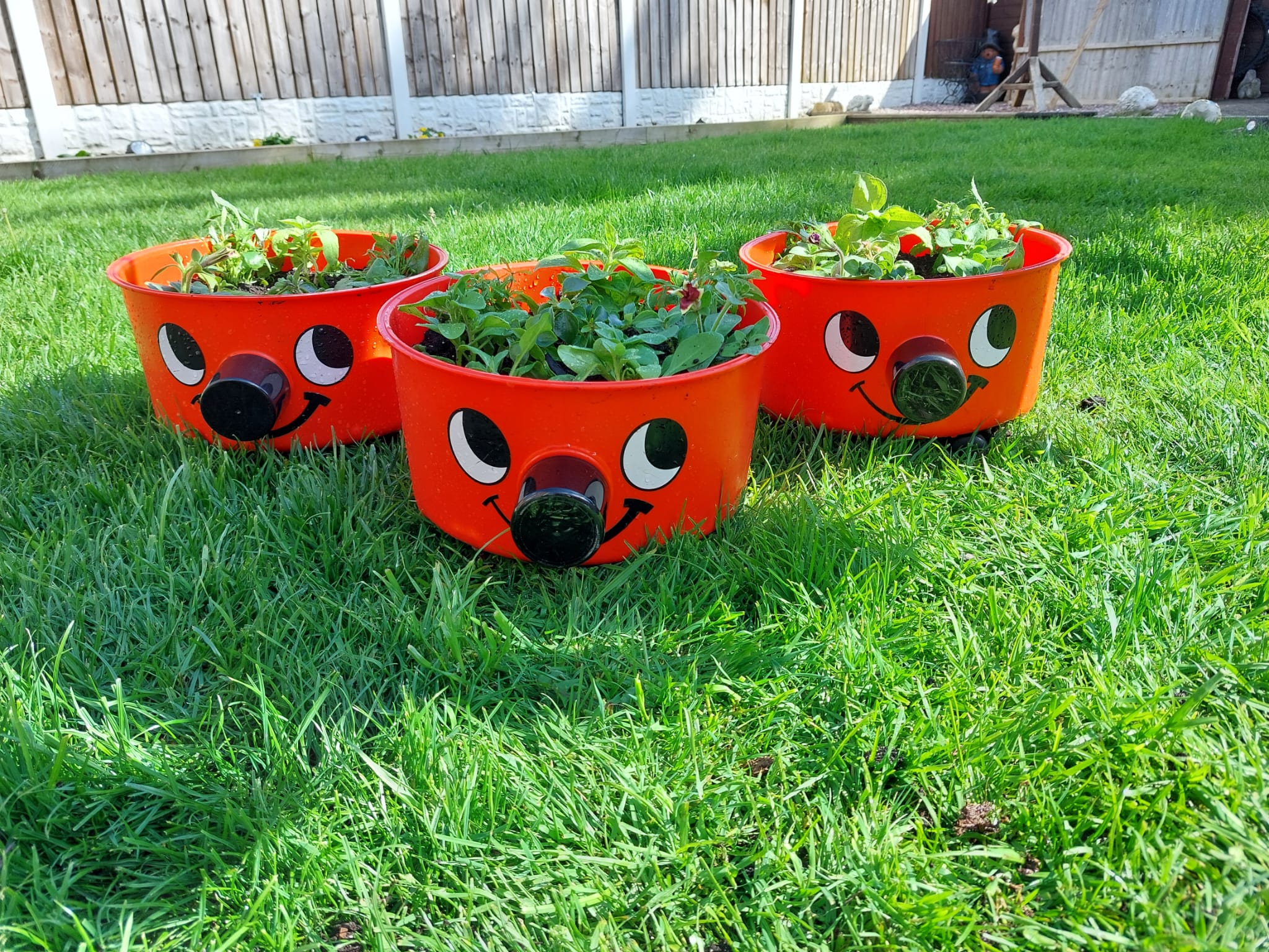 9 Creative DIY Planter Ideas! - Mental Scoop