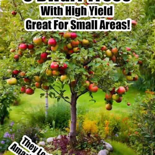 Gardening Archives - Mental Scoop