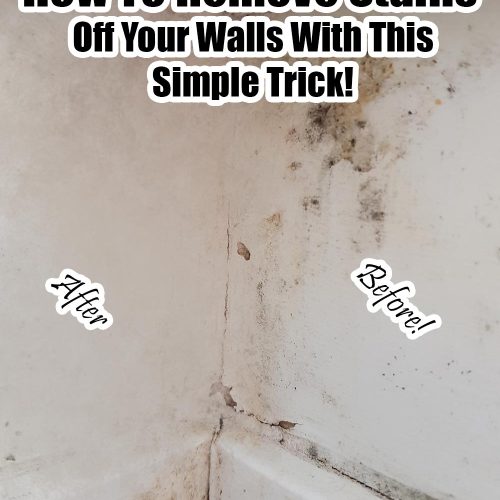 How To Remove Scratches From Your Car With This DIY Solution! - Mental Scoop