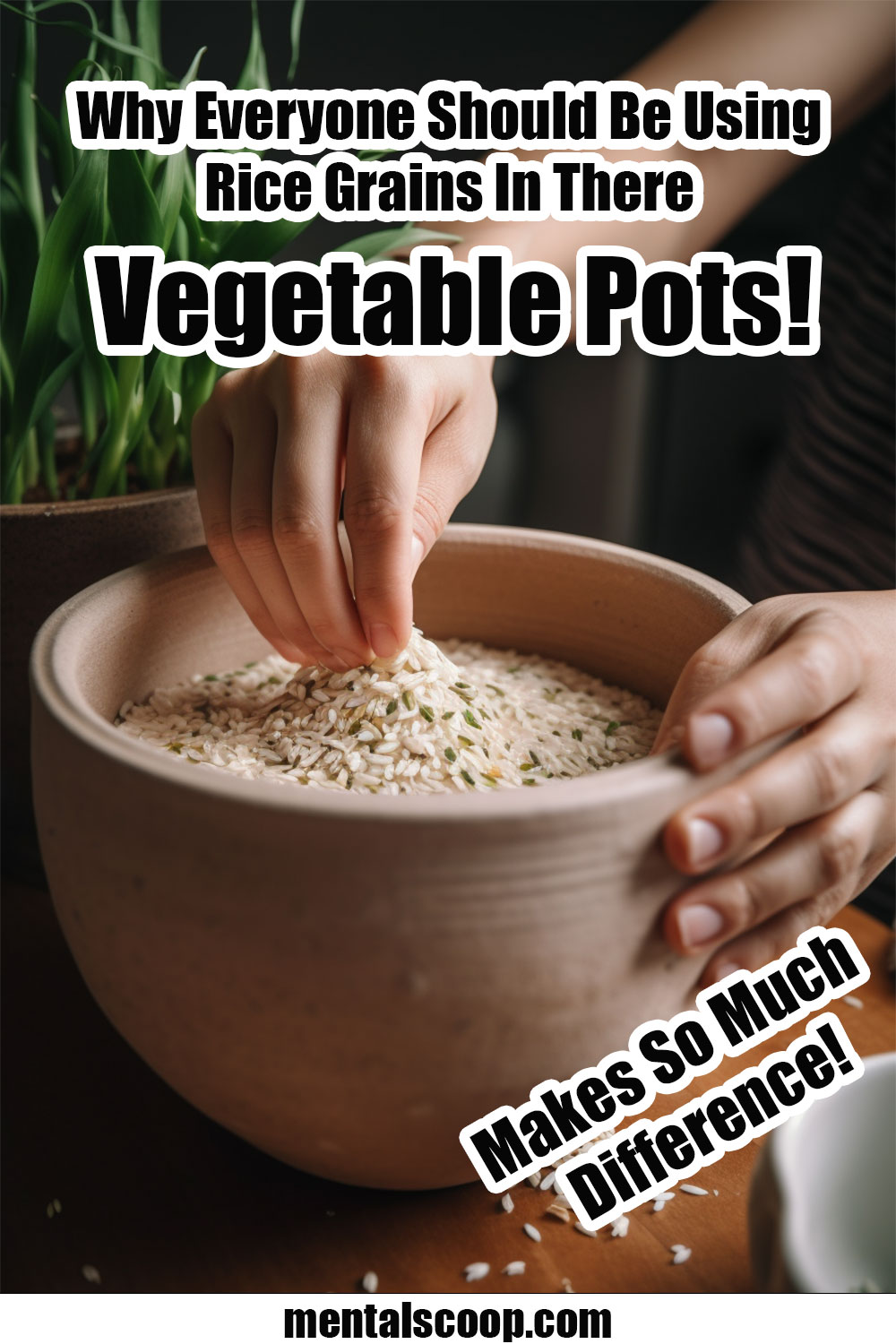 Why Everyone Should Be Using Rice Grains In There Vegetable Pots ...