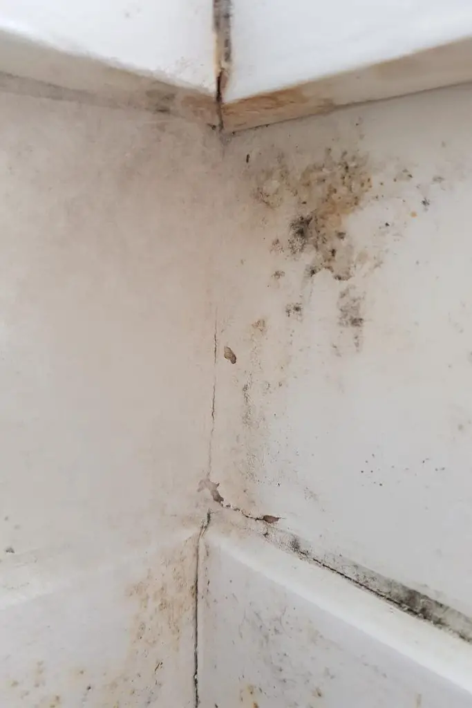 How To Remove Stains Off Your Walls With This Simple Trick! - Mental Scoop