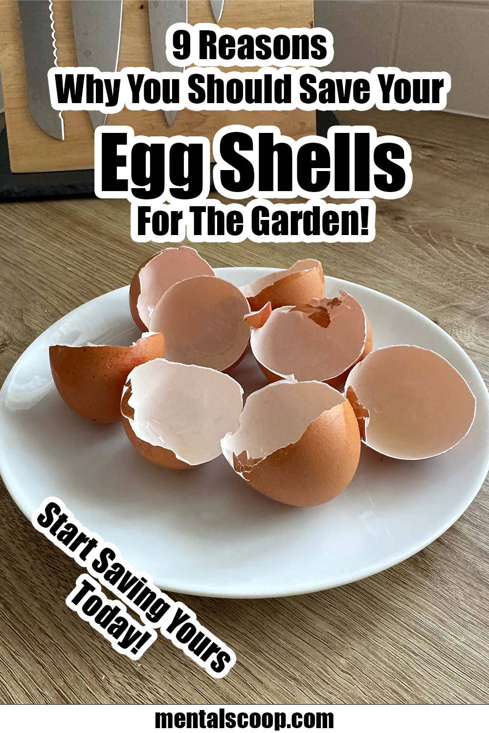 9 Reasons Why You Should Save Your Egg Shells For The Garden! - Mental ...