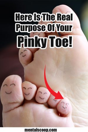 Here Is The Real Purpose Of Your Pinky Toe! - Mental Scoop