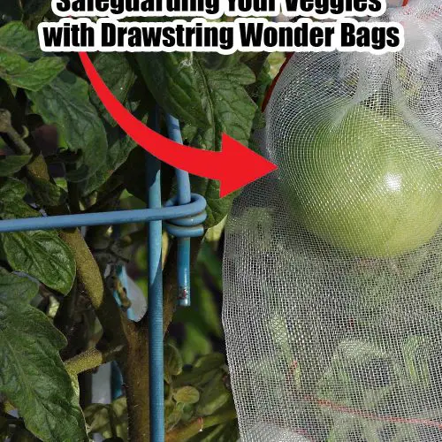 Gardening Archives - Mental Scoop