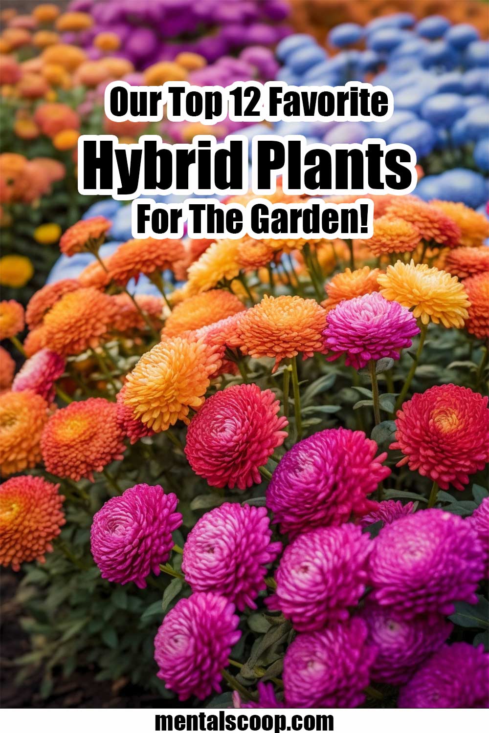 Our Top 12 Favorite Hybrid Plants For The Garden! - Mental Scoop