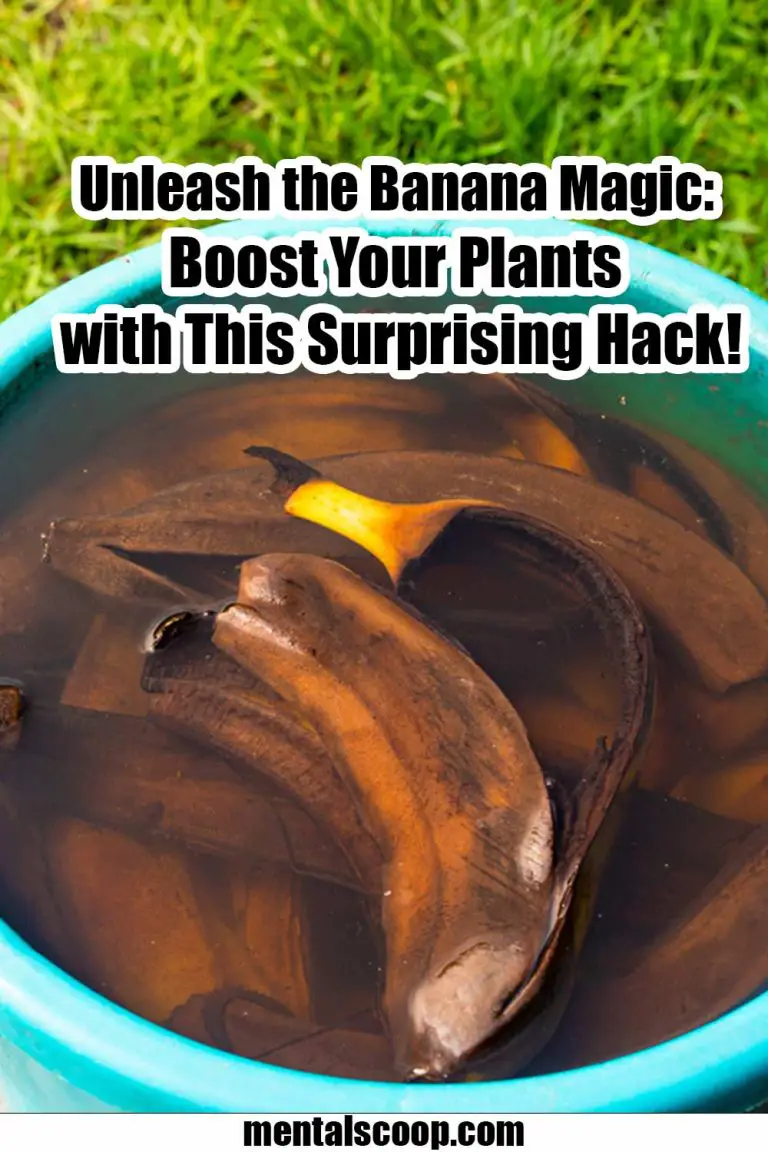 Unleash the Banana Magic: Boost Your Plants with This Surprising Hack ...