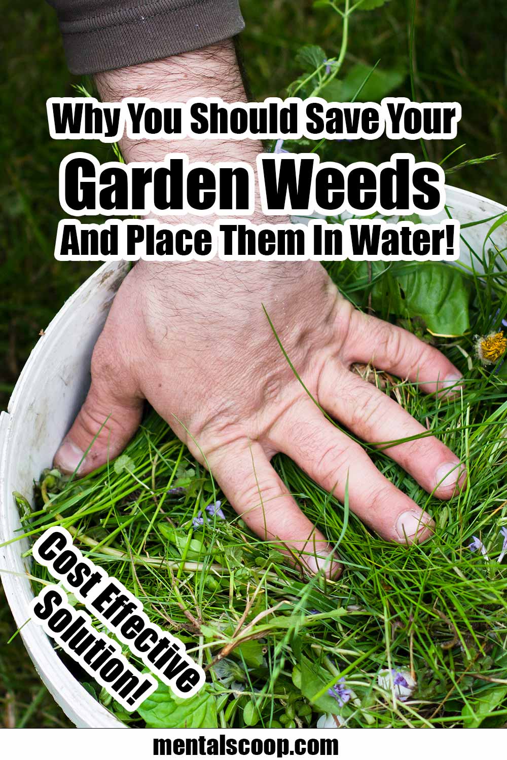 Why You Should Save Your Garden Weeds And Place Them In Water! - Mental ...