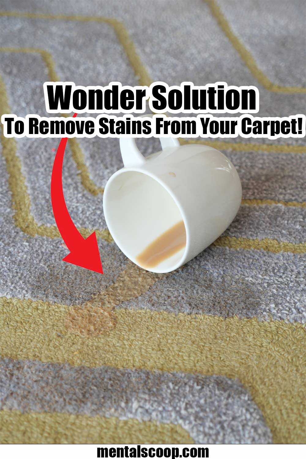 Wonder-Solution-To-Remove-Stains-From-Your-Carpet - Mental Scoop