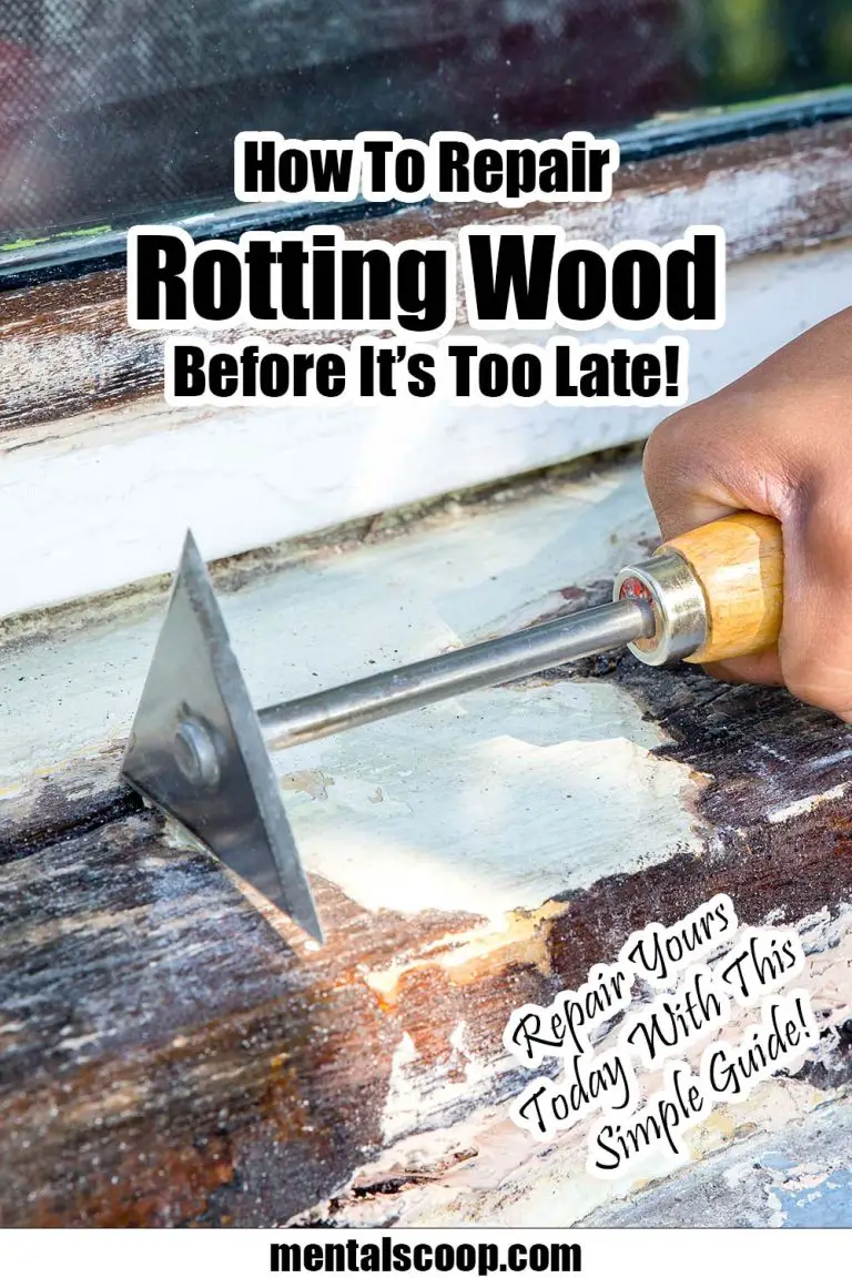 How To Repair Rotten Wood Correctly! - Mental Scoop