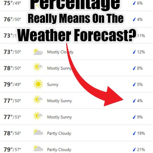 Mental Scoop - Scooping Up Interesting Info From Around The Web