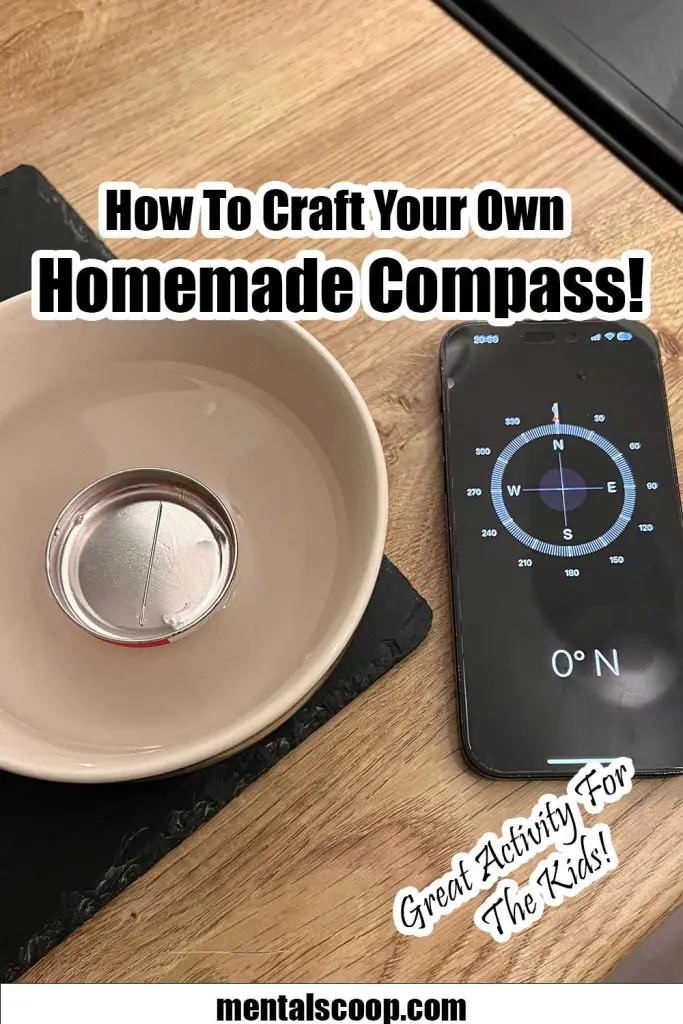 How To Craft Your Own Homemade Compass! - Mental Scoop