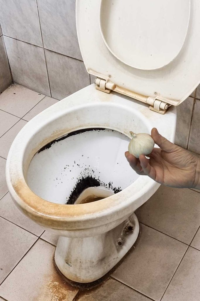Here Is Why Everyone Should Be Placing Garlic In The Toilet! - Mental Scoop
