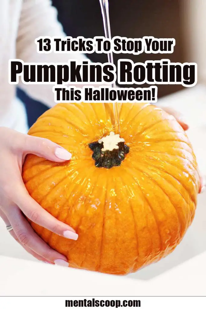 13 Ways To Stop Your Pumpkins Rotting This Halloween! - Mental Scoop