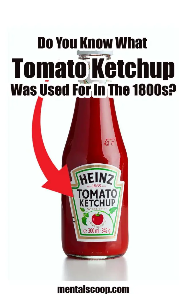 Do You Know What Ketchup Was Used For In The 19th Century? - Mental Scoop