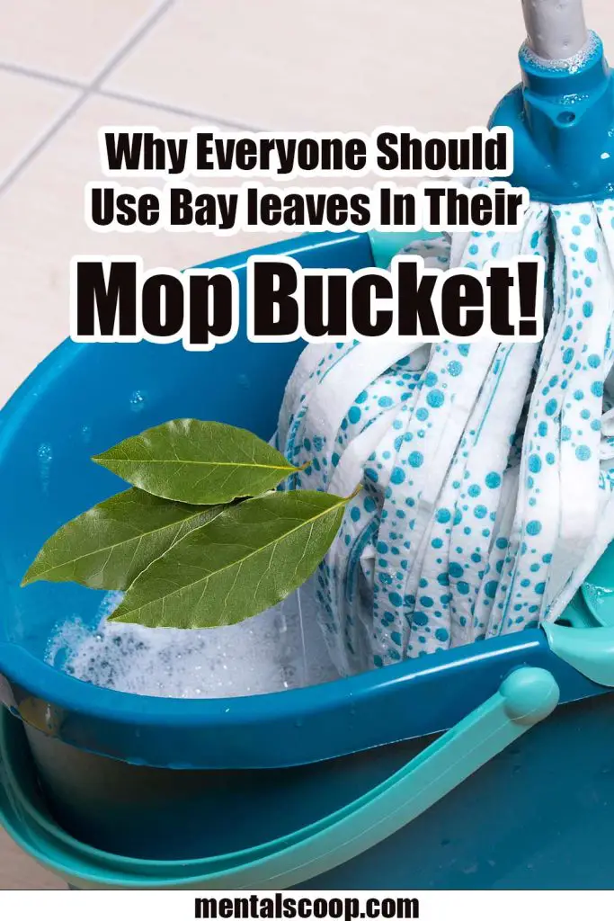Why Everybody Should Use Bay Leaves In Their Mop Bucket! - Mental Scoop