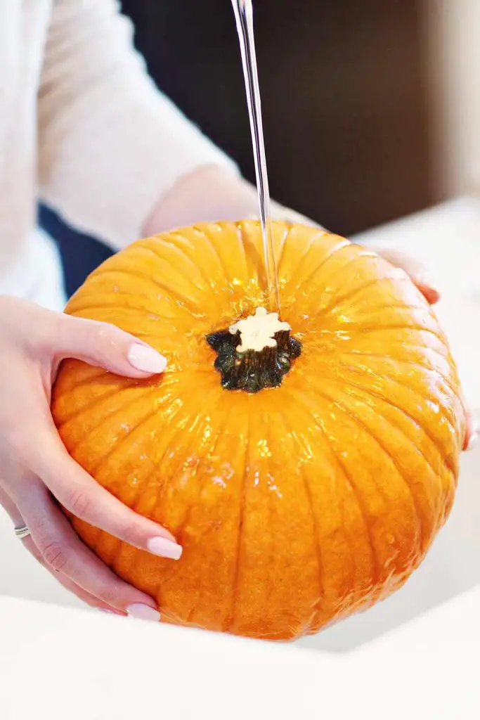 13 Ways To Stop Your Pumpkins Rotting This Halloween! - Mental Scoop