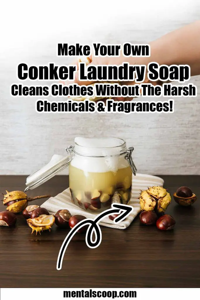 Make Your Own Conker Laundry Soap - Cleans Clothes Without The Harsh ...