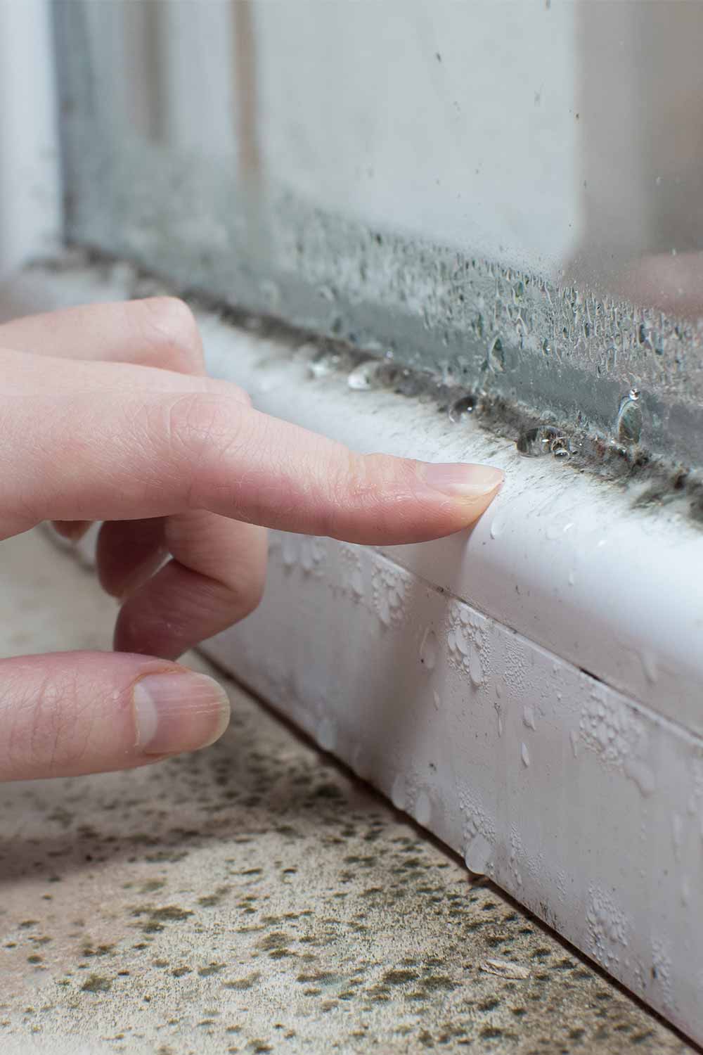default-9-Simple-Ways-To-Stop-Window-Condensation - Mental Scoop default-9-Simple-Ways-To-Stop-Window-Condensation - Mental Scoop