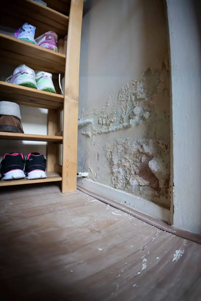 How To Dry And Prevent Your Walls From Being Damp! - Mental Scoop