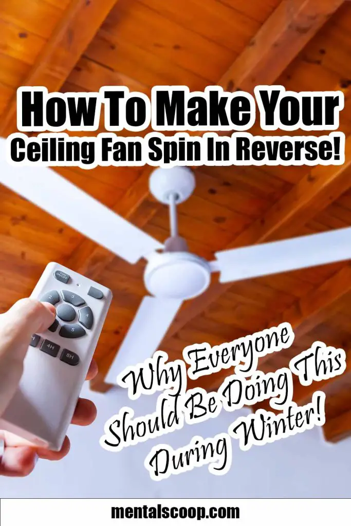 How To Put Your Ceiling Fan In Reverse And Why Everyone Should Be Doing ...